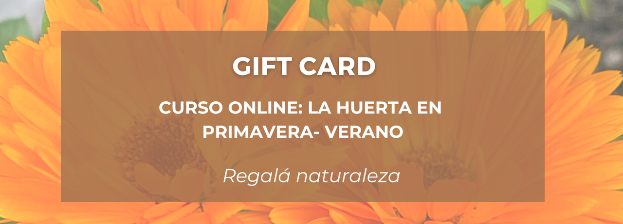 GIFT CARD- La huerta en primavera- verano